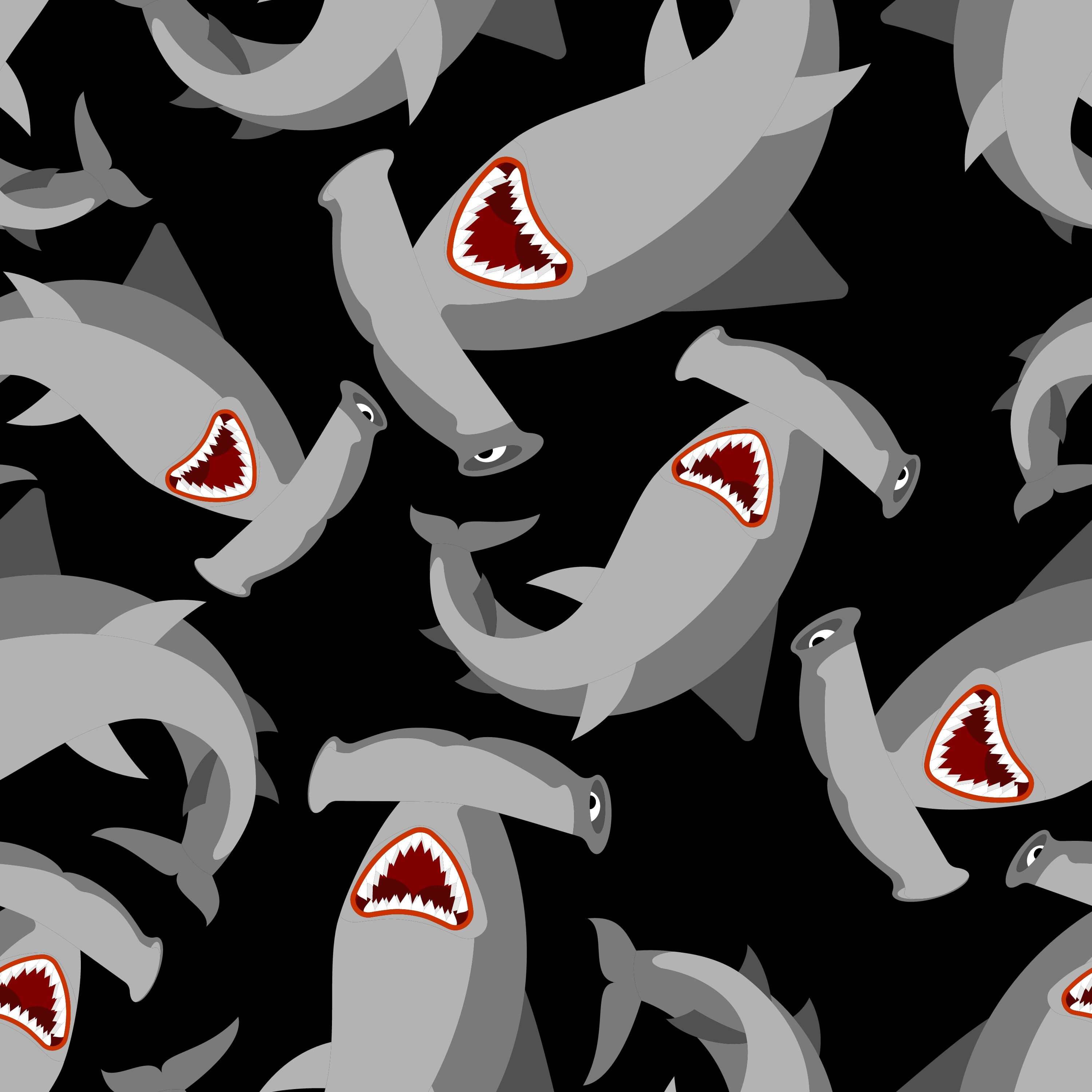 Hammerheads NAILED IT Collection by The Lake Shark